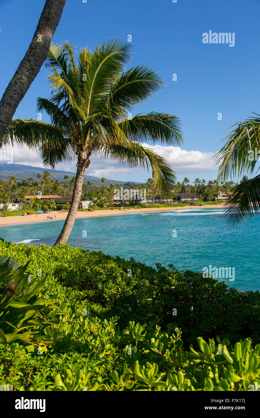 Napili Beach, Maui, Hawaii Stock Photo - Alamy