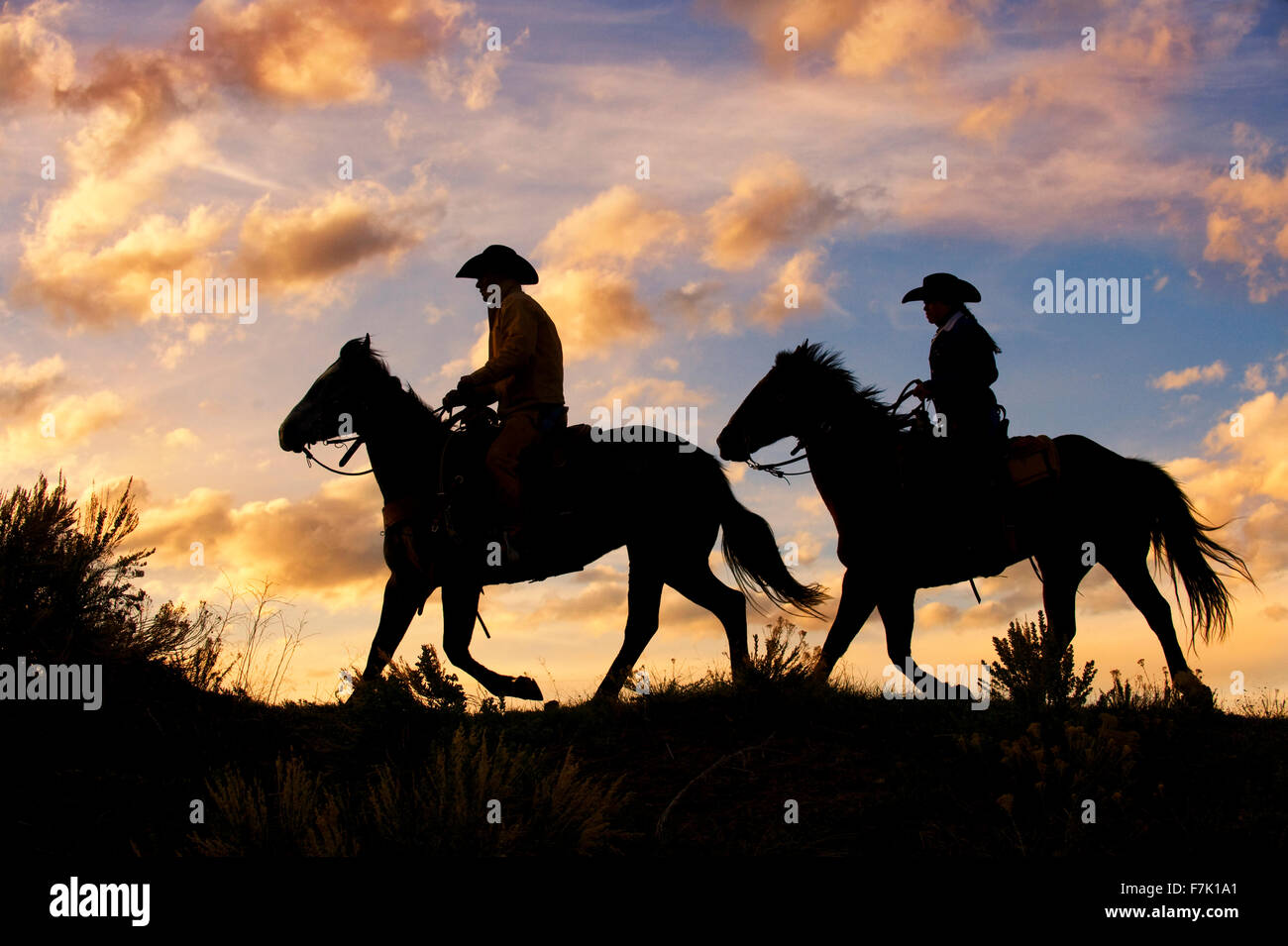 Two Cowboys Riding Horses Stock Photos & Two Cowboys Riding Horses ...