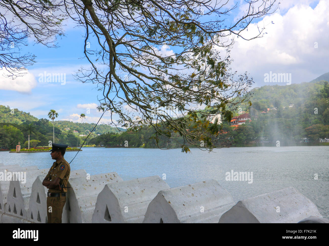 Galle sri lanka tea plantation hi-res stock photography and images - Alamy