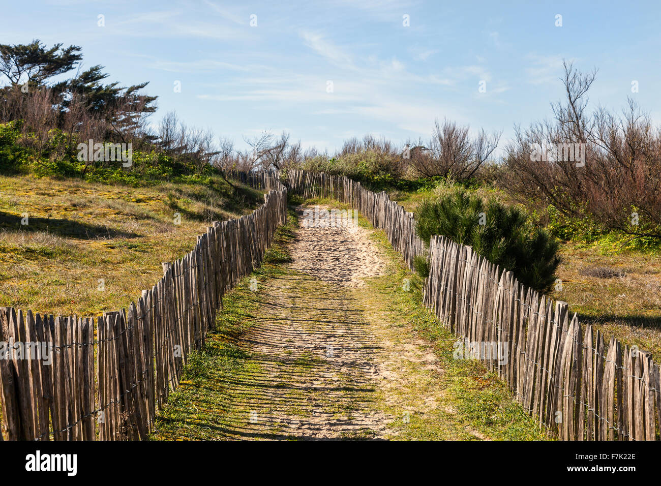 Footpath between wooden fences on the Atlantic Dune in Brittany, in ...