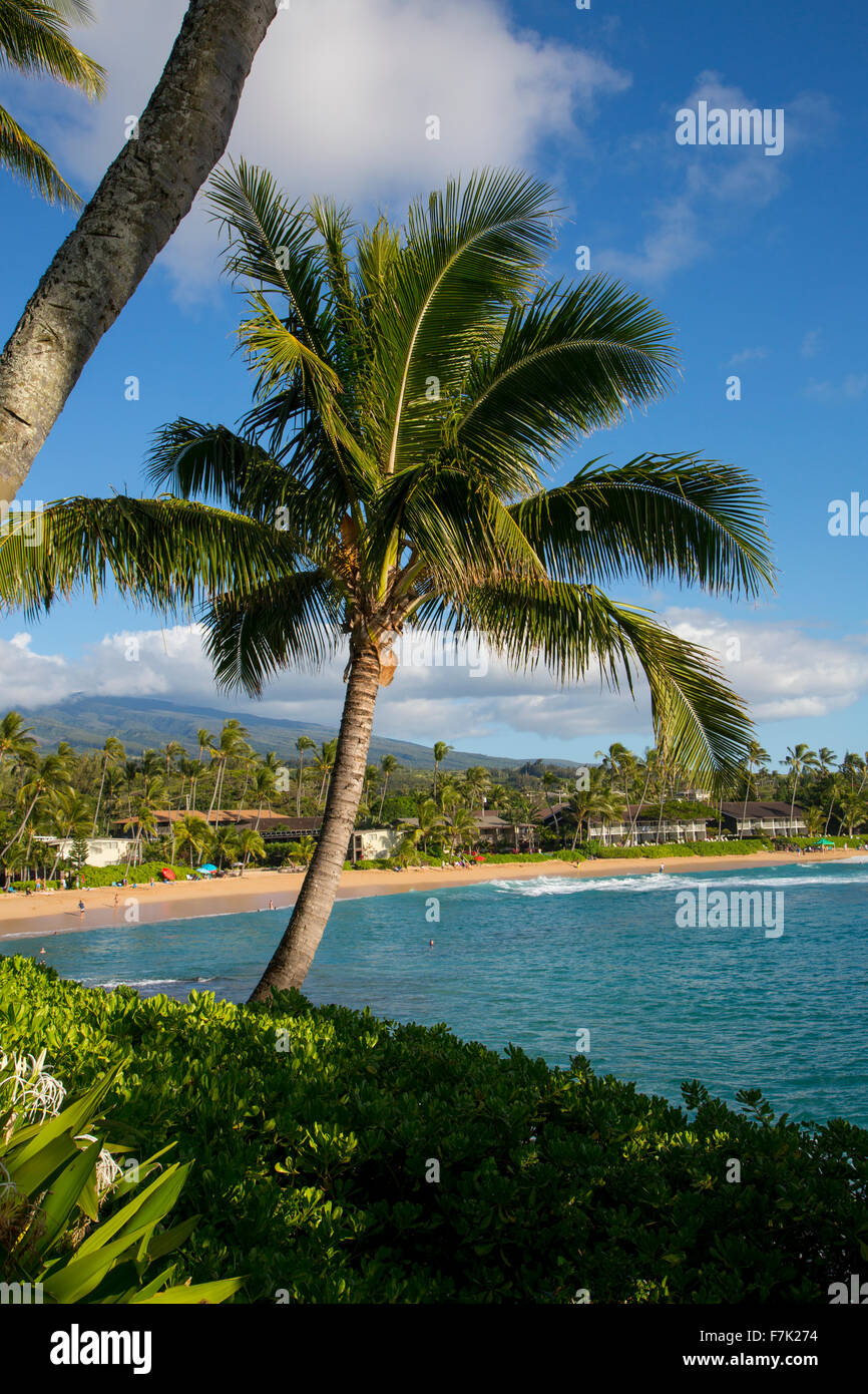 Napili Beach, Maui, Hawaii Stock Photo - Alamy