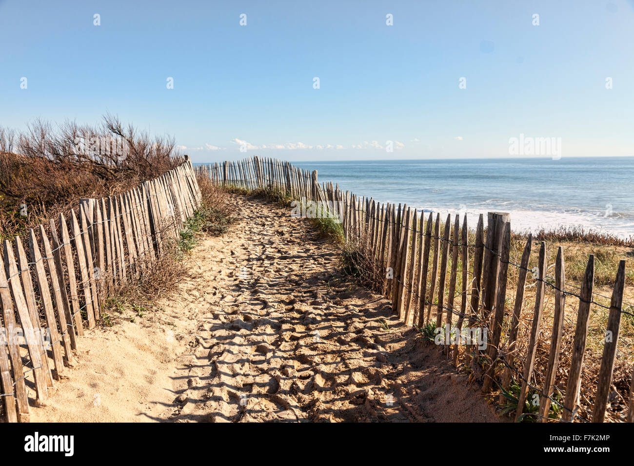 Footpath between wooden fences on the Atlantic Dune in Brittany, in ...