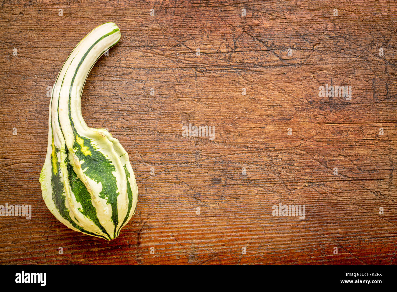 small ornamental gourd over rustic weathered wood with a copy space ...