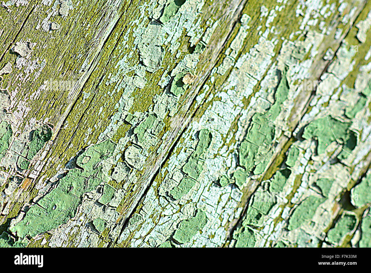 Tree bark with green background hi-res stock photography and images - Alamy