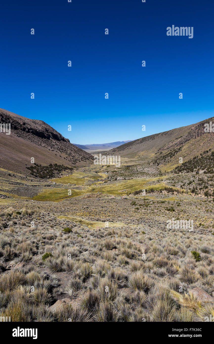 Landscape of an arid valley in the Andean highlands of Latin America ...