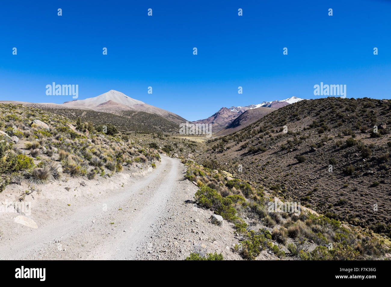 Small path in the Andes. The weather Andean Highlands Puna grassland ...