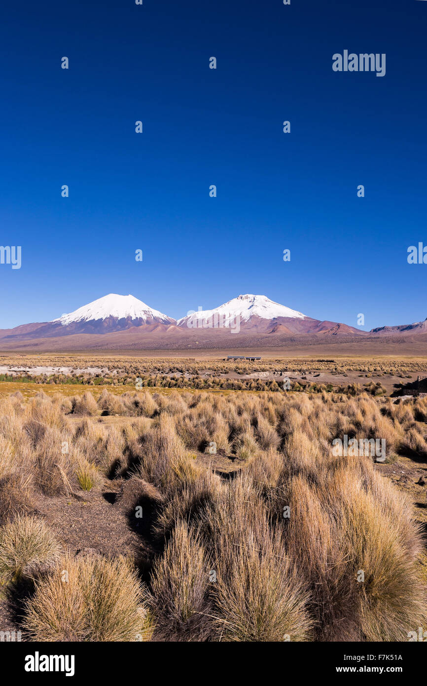 Parinacota and Pomerade volcanos. High Andean landscape in the Andes ...