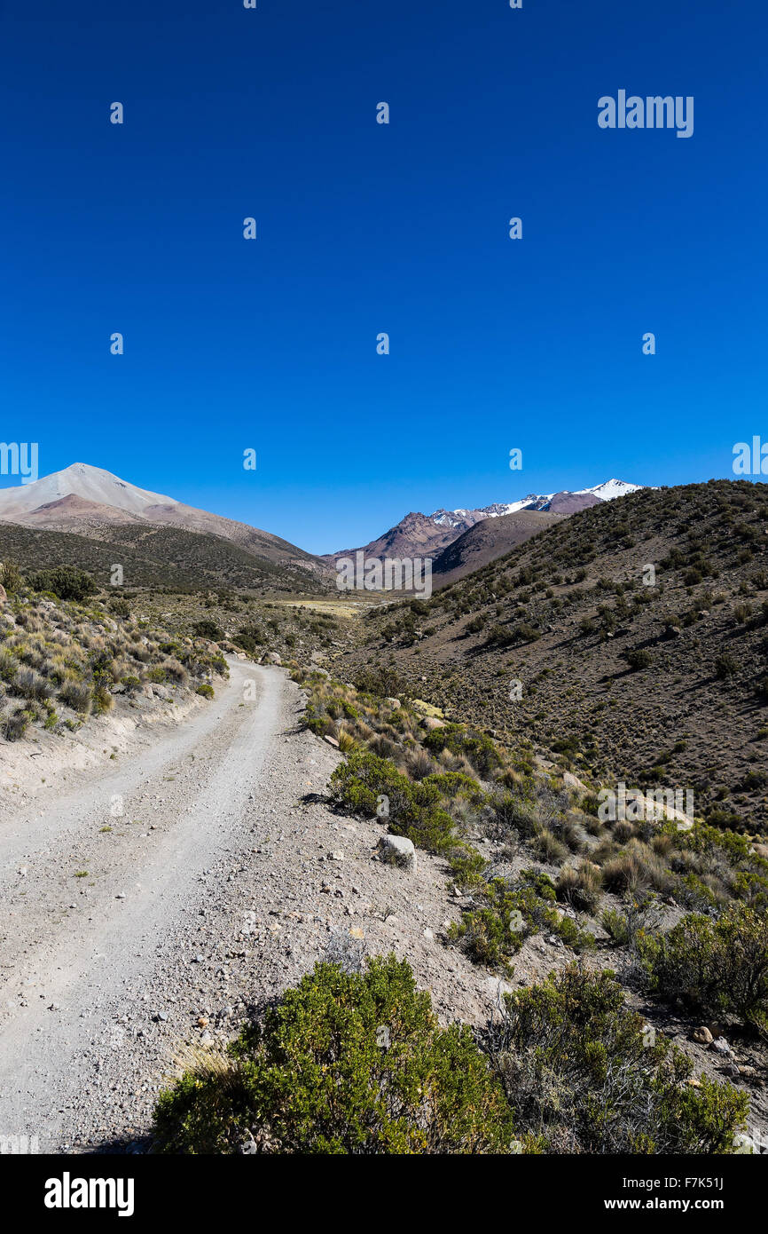 Montane grasslands and shrublands hi-res stock photography and images ...