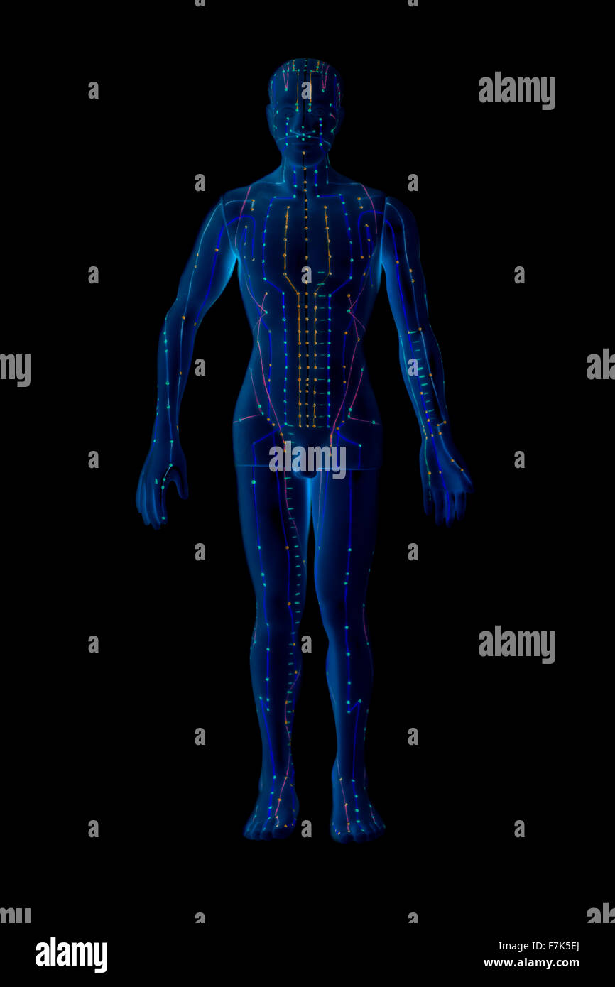 Acupuncture model human body hi-res stock photography and images - Alamy