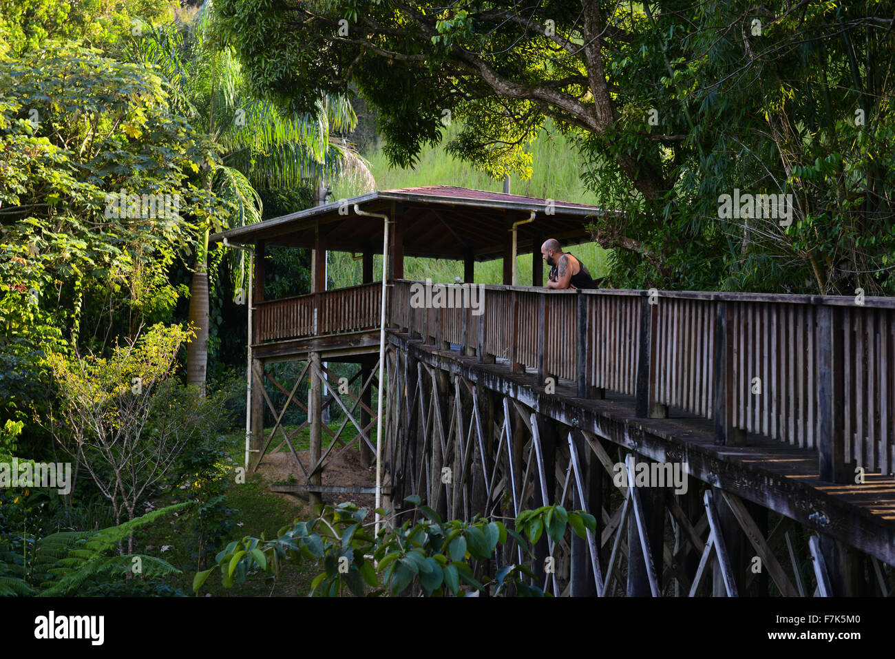 Pathway to La Piedra Escrita in Jayuya, Puerto Rico is a huge, river ...