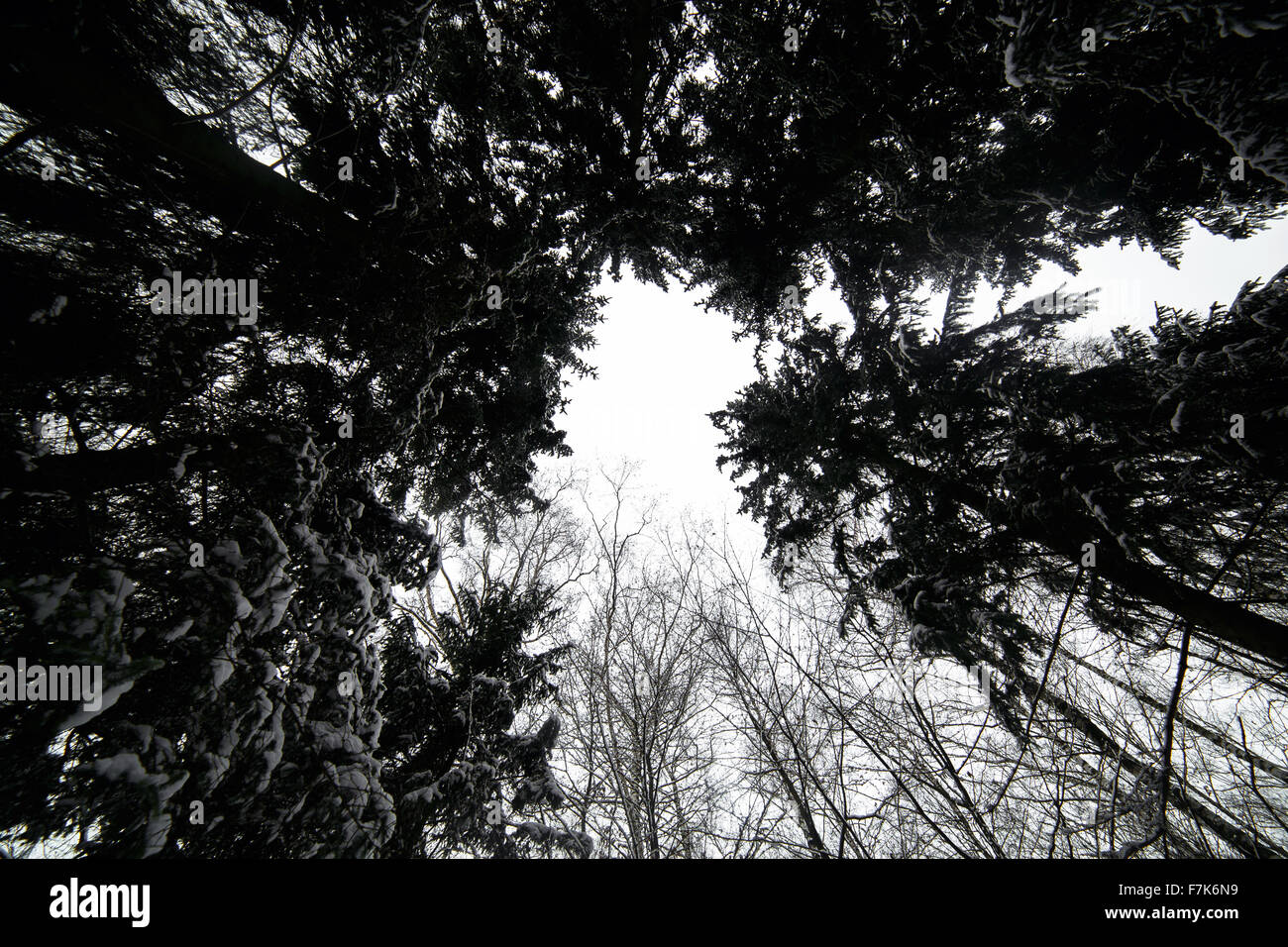 Beautiful calm winter day Stock Photo - Alamy