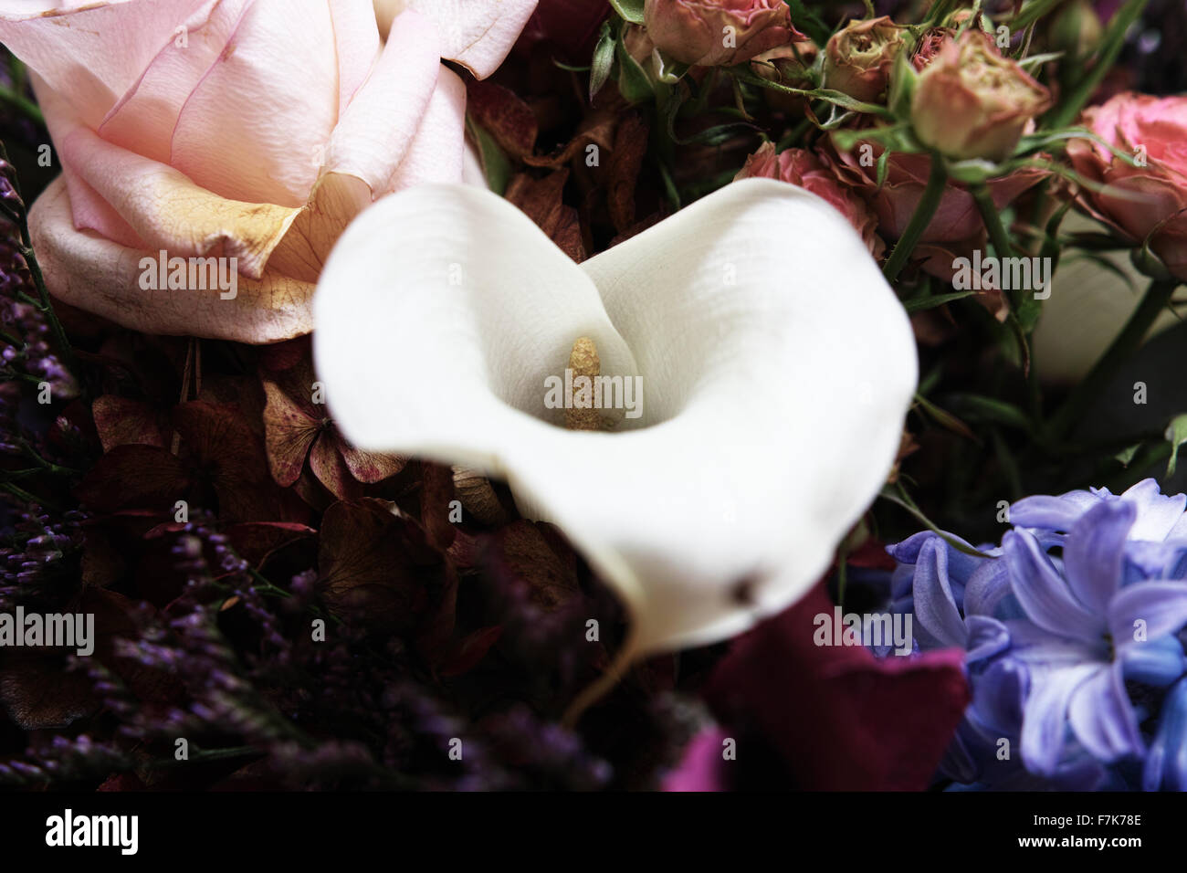 A beautiful gift floristic with elements of marine life Stock Photo - Alamy