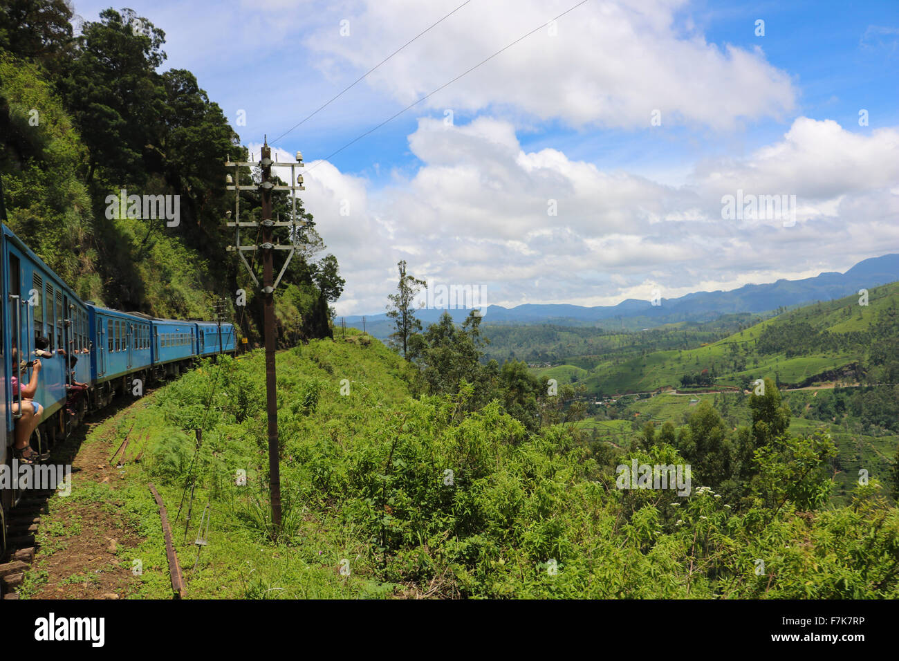 Tea plantation in galle sri lanka hi-res stock photography and images ...