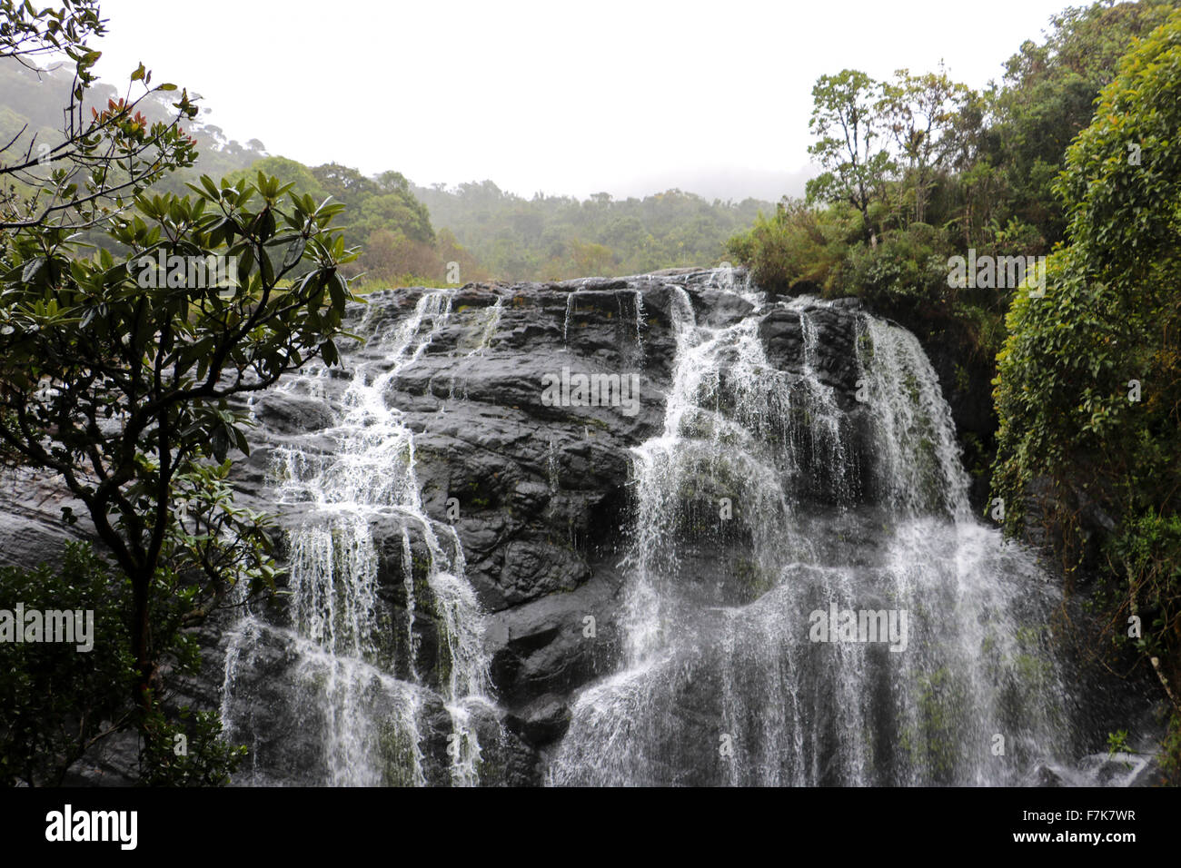 Waterfall. Worlds end, Sri Lanka Stock Photo - Alamy