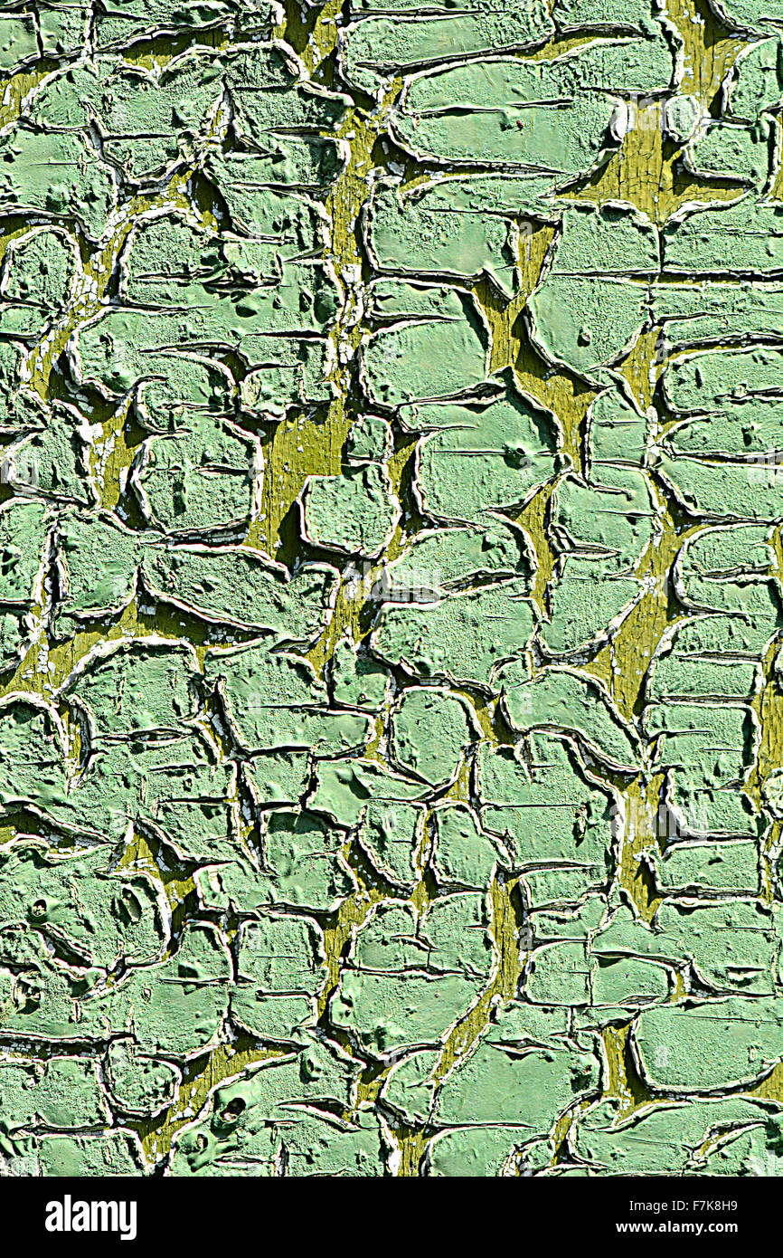Old green tree bark texture closeup Stock Photo - Alamy