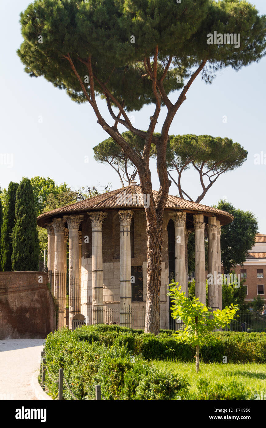 Rome - Vesta temple Stock Photo - Alamy