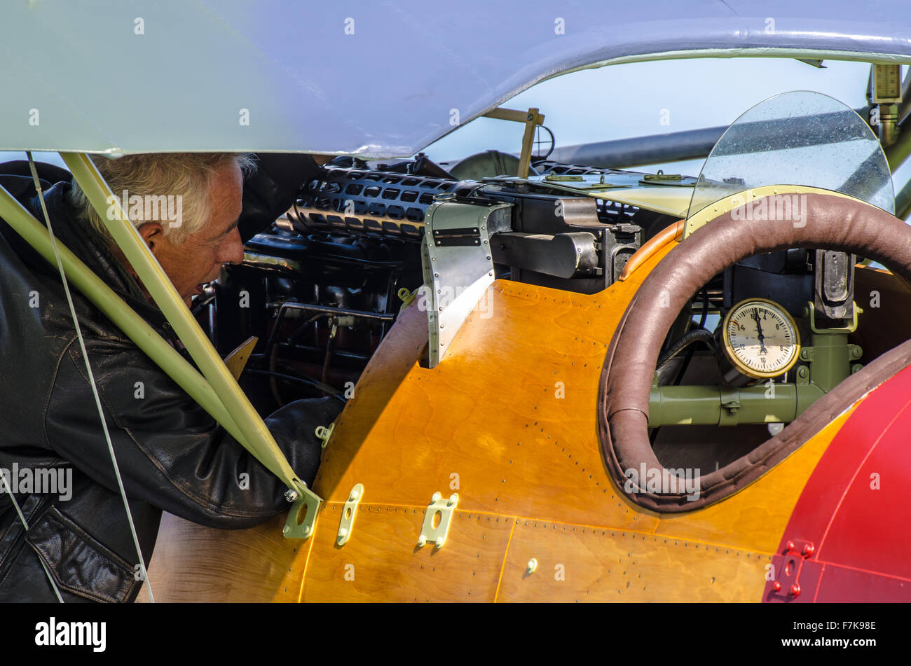 Albatros d i hi-res stock photography and images - Alamy