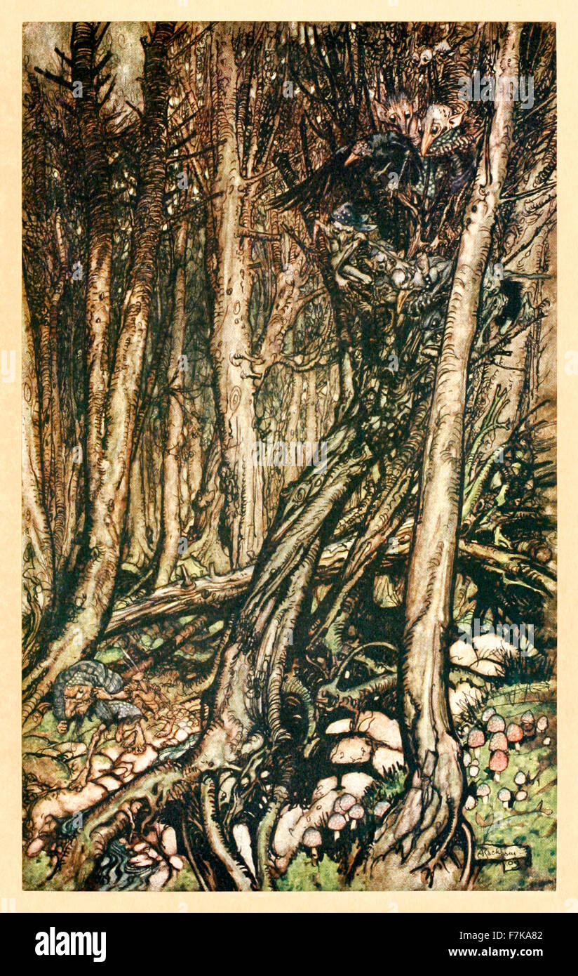 'At the back of this little tongue of land there lay a fearsome forest ...