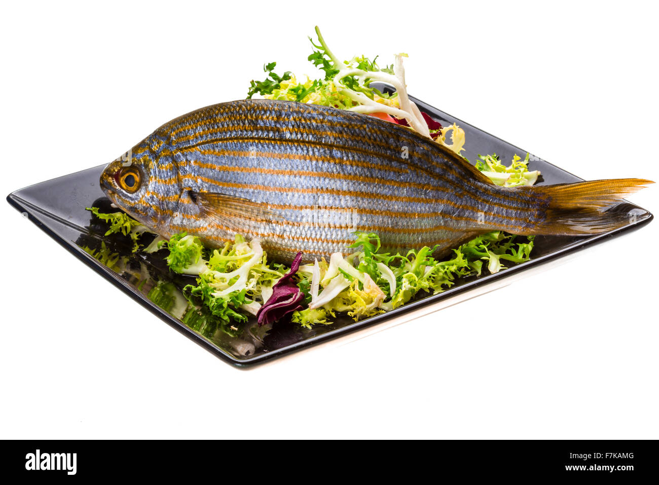 Salema porgy - sarpa fish Stock Photo - Alamy
