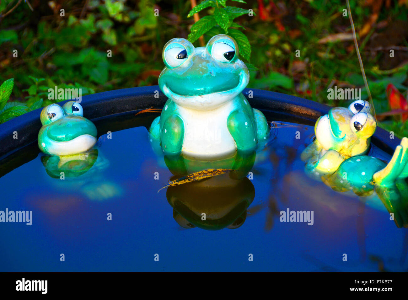 Three happy sunny ceramic frogs bathing in water Stock Photo - Alamy