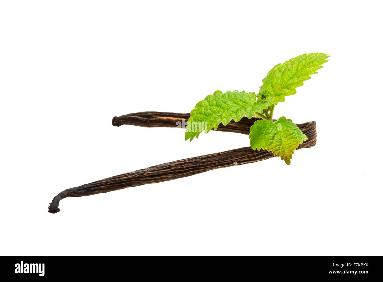Vanilla with mint isolated studio Stock Photo - Alamy