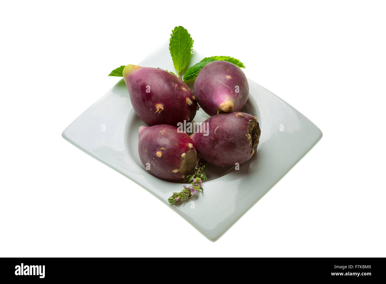 Cactus sabr in the dish Stock Photo - Alamy