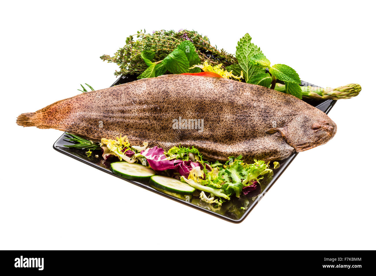 Fish Dover sole Stock Photo - Alamy