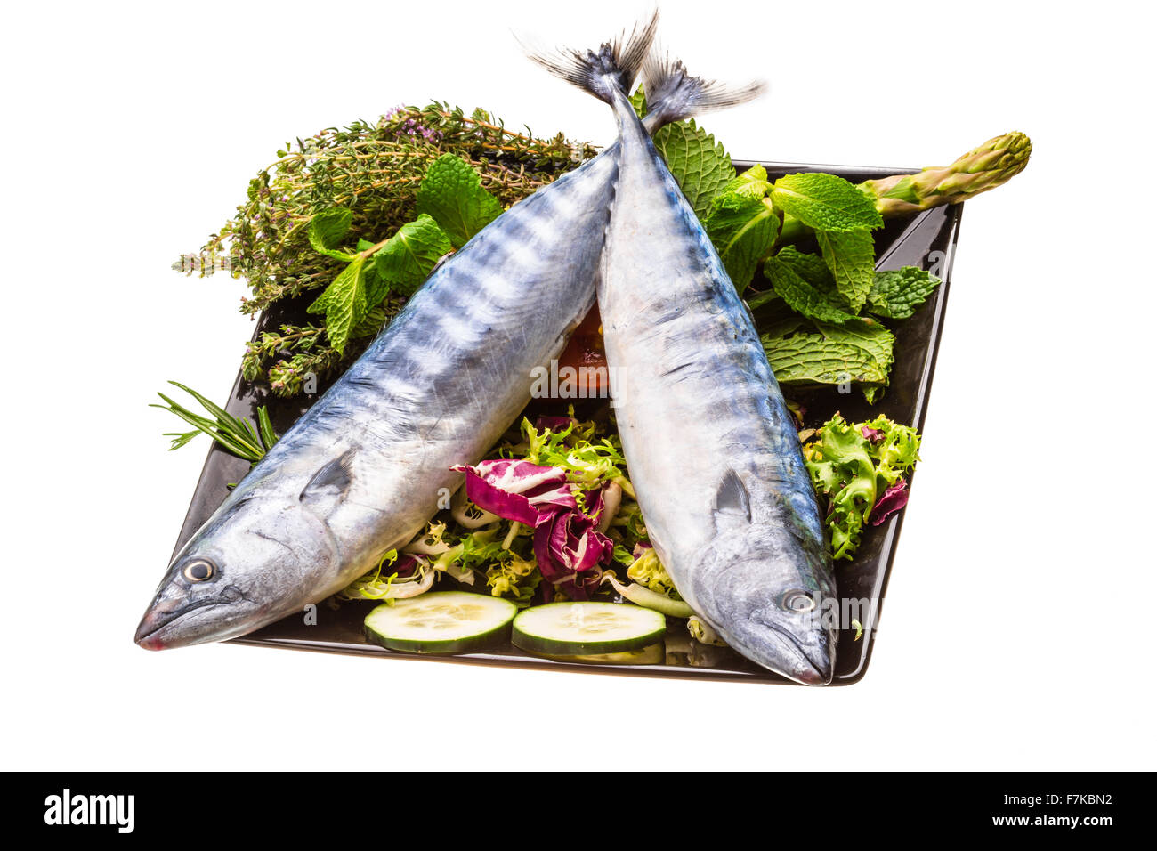 Atlanticmackerel hi-res stock photography and images - Alamy