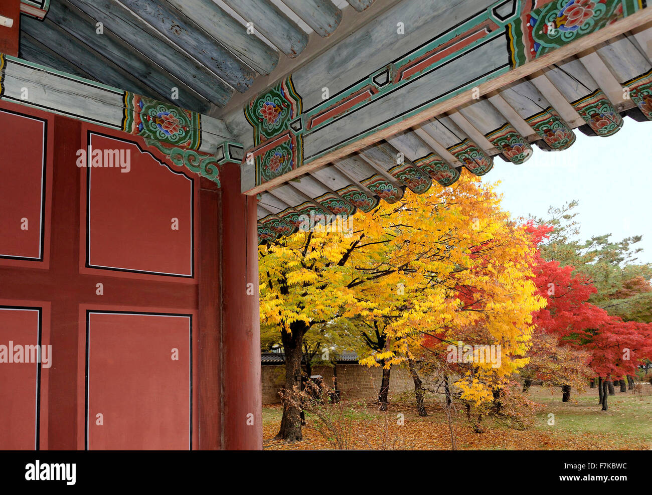 SEOUL, SOUTH KOREA - NOVEMBER 10: Colorful trees in the Changgyeonggung ...