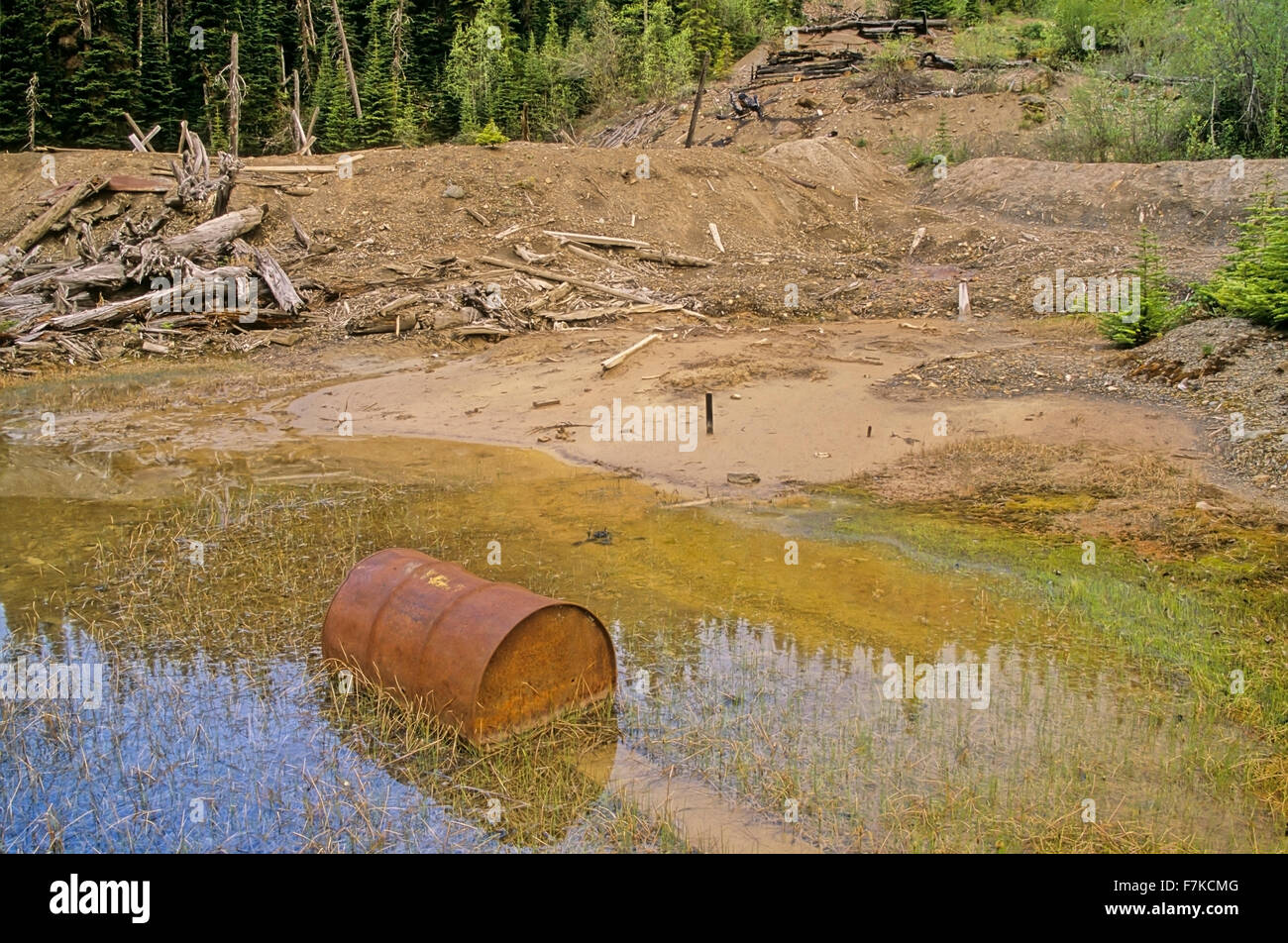 Partially reclaimed and remediated old Cronin mine site, Babine ...