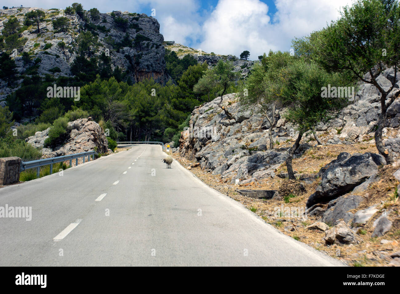 Road soller mallorca spain hi-res stock photography and images - Alamy