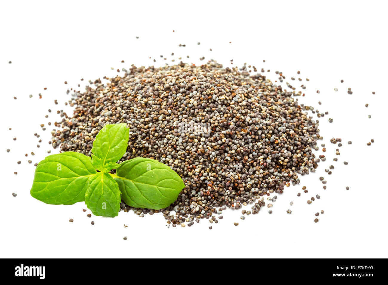 Poppy seeds studio macro shoot isolated Stock Photo - Alamy