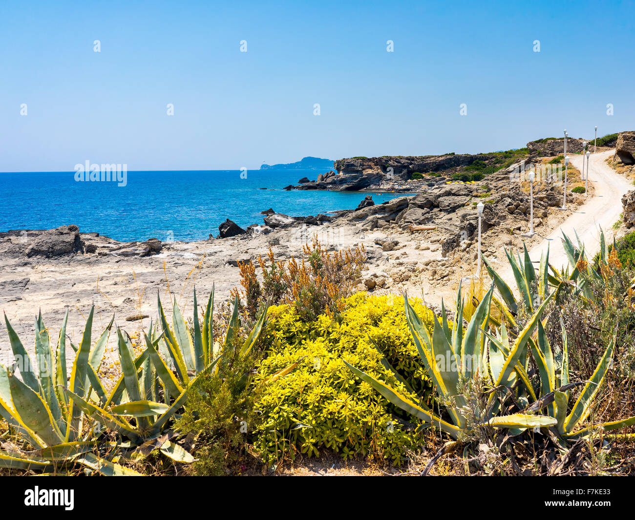 Coastal vegetation near kalithea Rhodes Dodecanese Greece Europe Stock ...