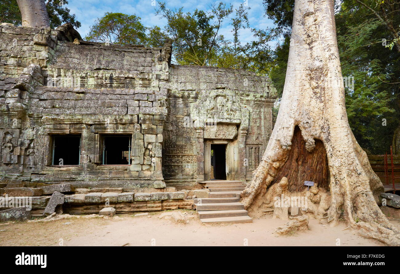 Ruins of Ta Prohm Temple, Angkor, Cambodia, Asia Stock Photo - Alamy