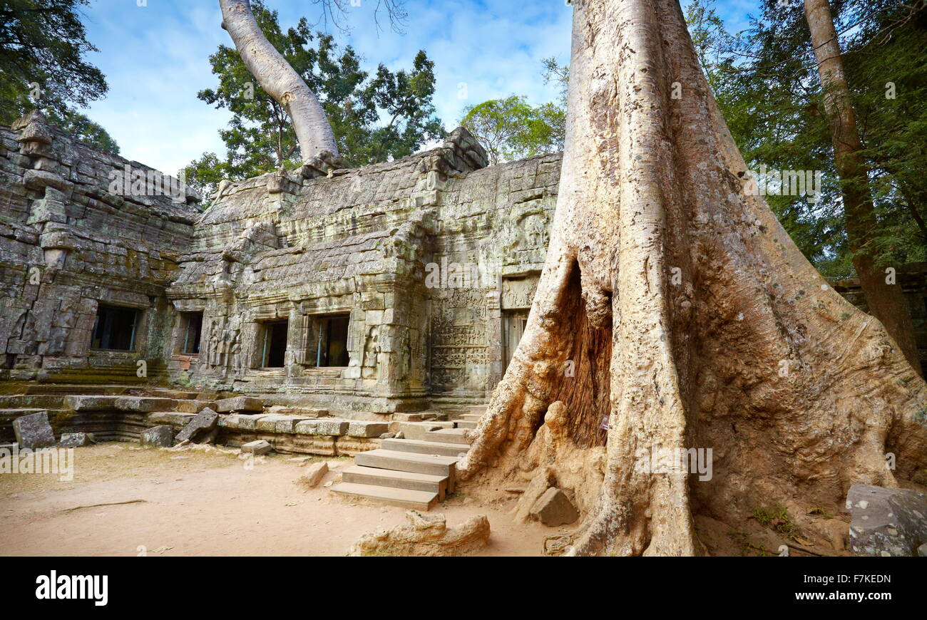 Ta Prohm Temple, Angkor, Cambodia, Asia Stock Photo - Alamy