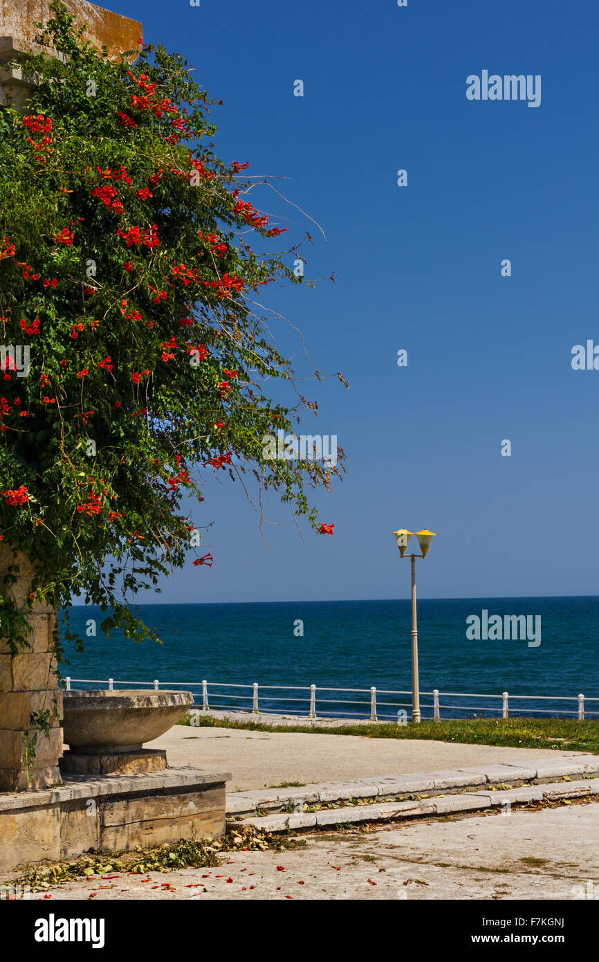Constanta seafront in summer time Stock Photo - Alamy