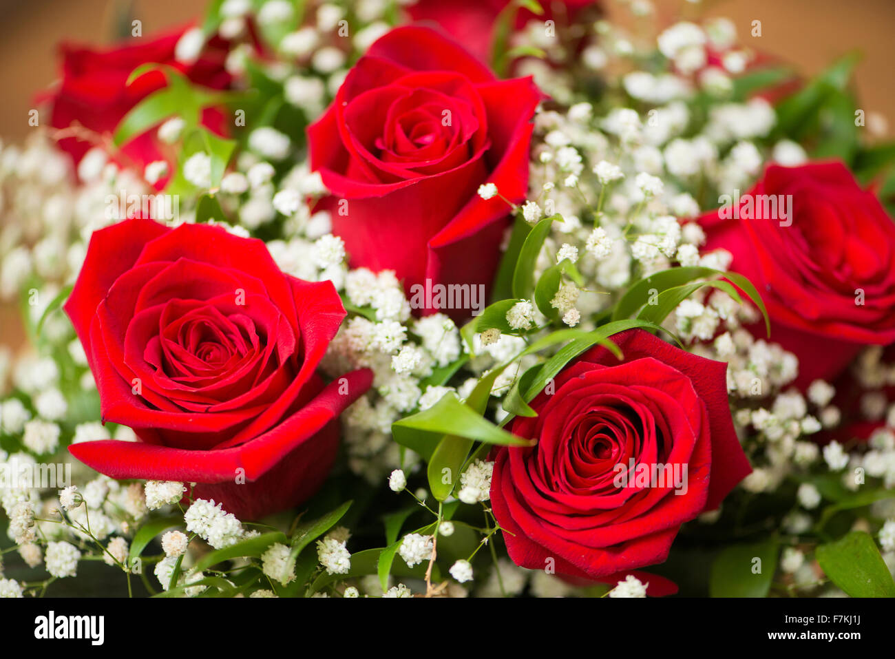Nice roses in celebration concept Stock Photo - Alamy