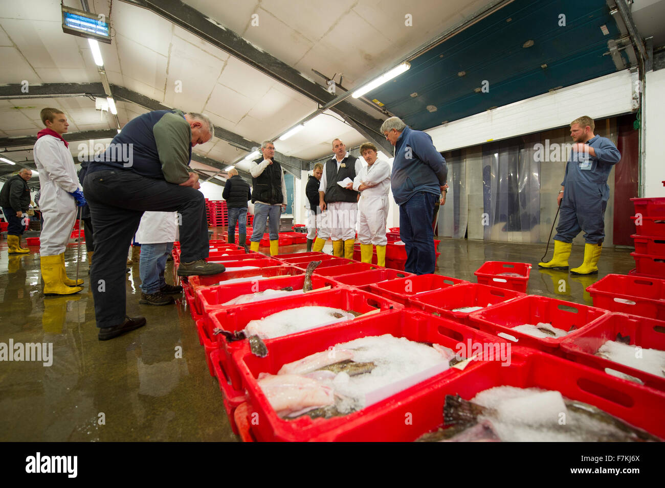 A fish market in Cornwall England Stock Photo - Alamy