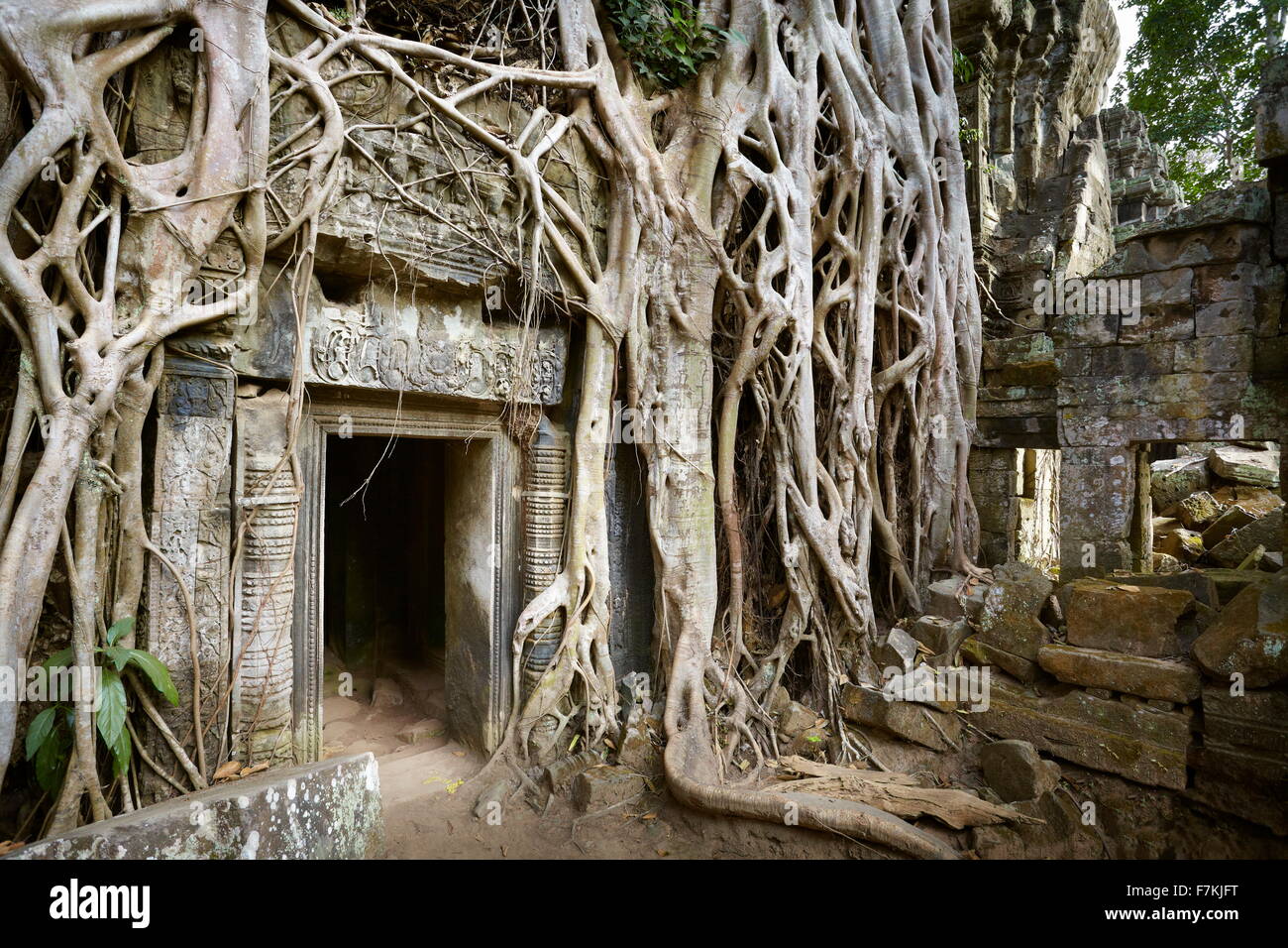 Ta Prohm Temple, Angkor, Cambodia, Asia Stock Photo - Alamy