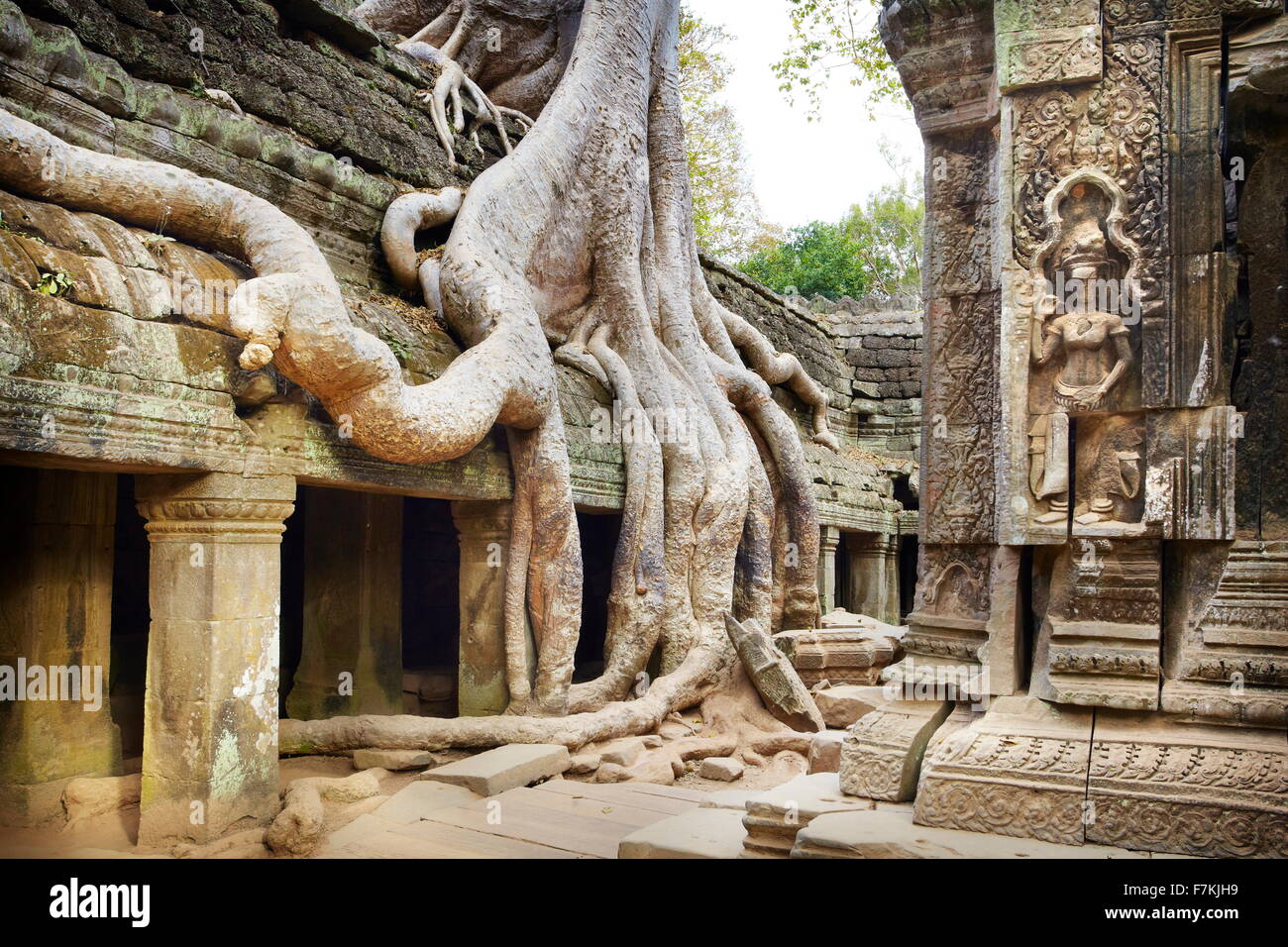 Ta Prohm Temple, Angkor, Cambodia, Asia Stock Photo - Alamy
