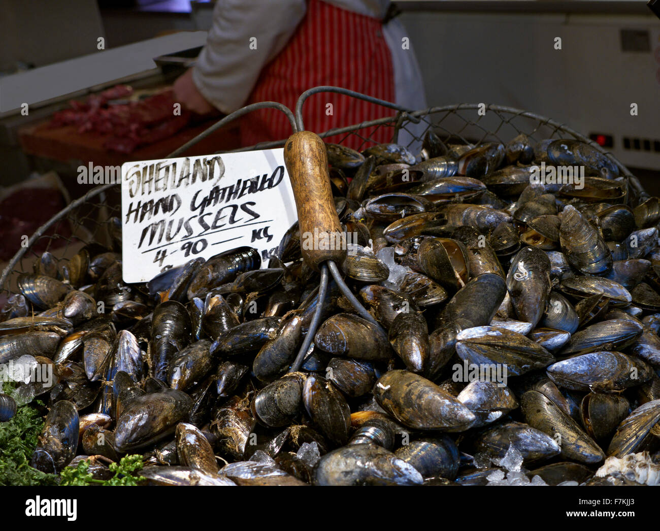Gathered mussels hi-res stock photography and images - Alamy