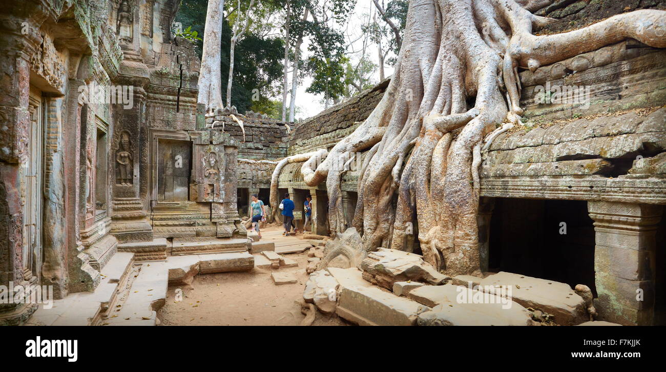 Ta Prohm Temple Wallpaper