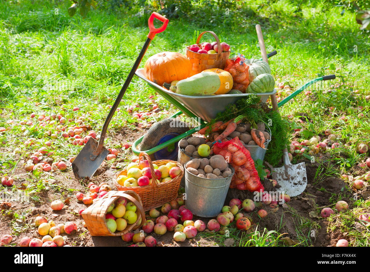 Harvested into a pile crop of vegetables in the garden Stock Photo - Alamy