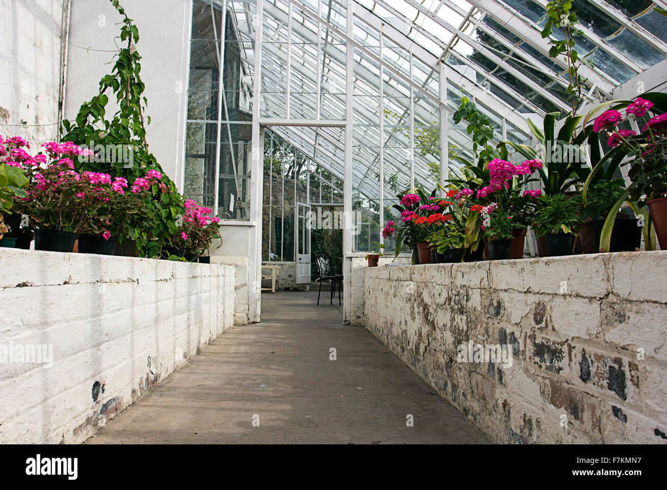 Inveresk gardens hi-res stock photography and images - Alamy