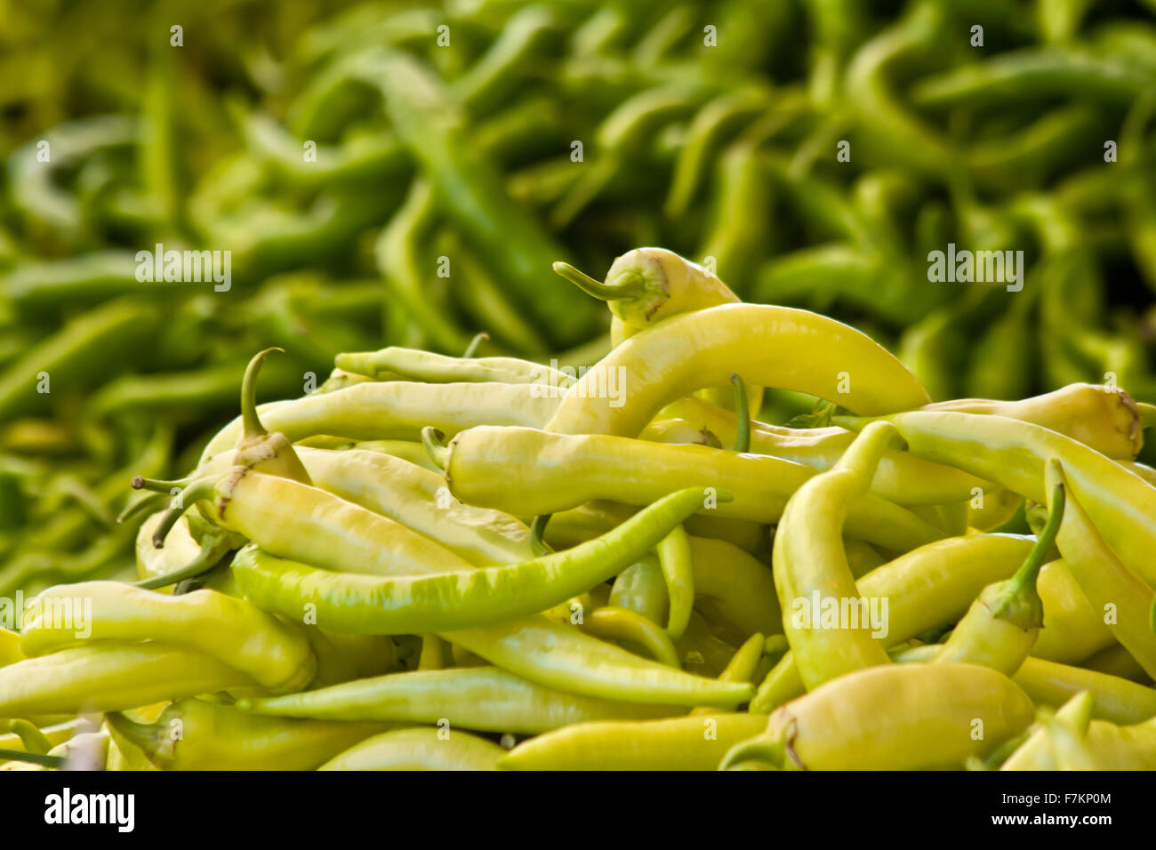 Organic Fresh Ripe Green Peppers At A Turkish Street Market In ...