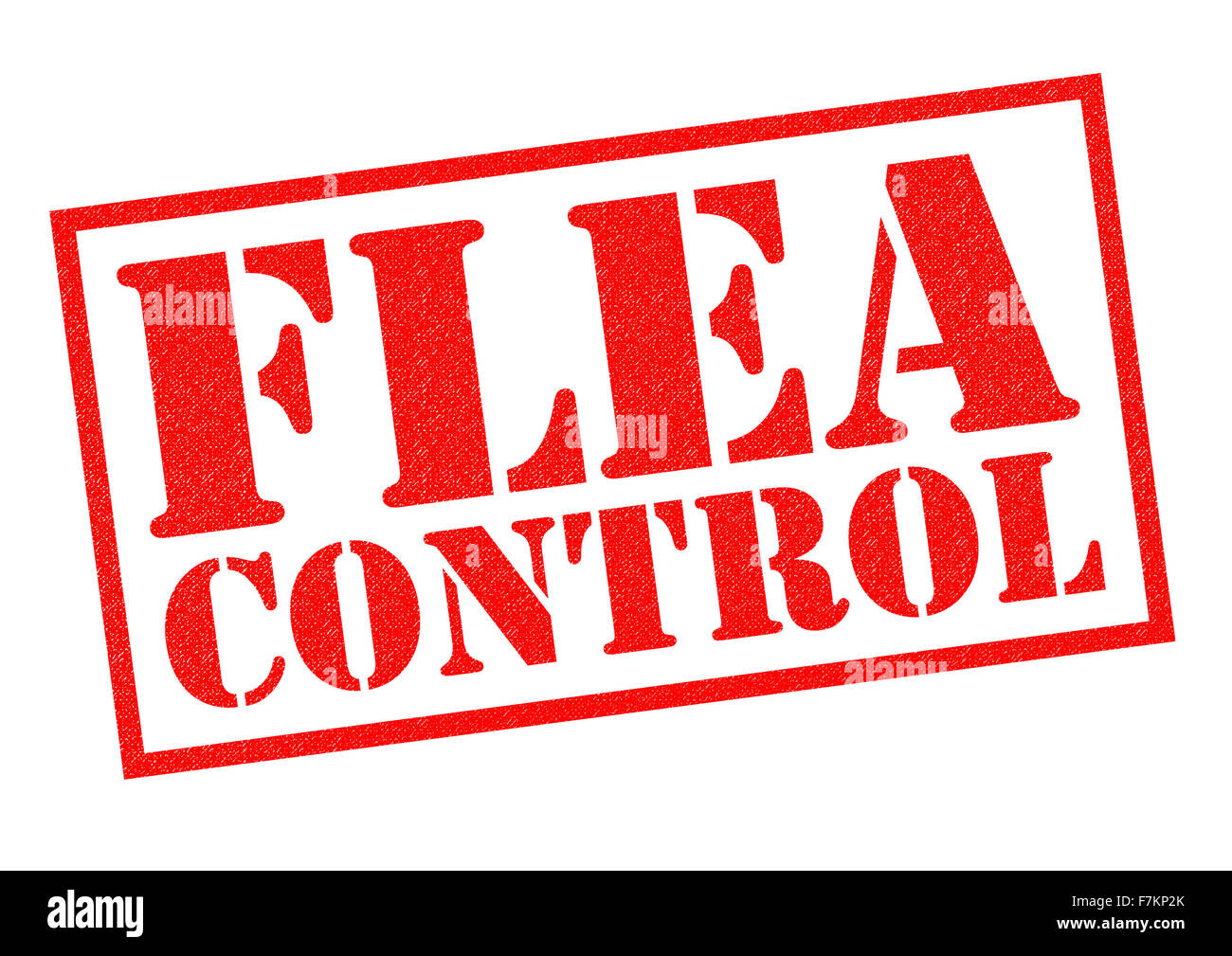 FLEA CONTROL red Rubber Stamp over a white background Stock Photo - Alamy