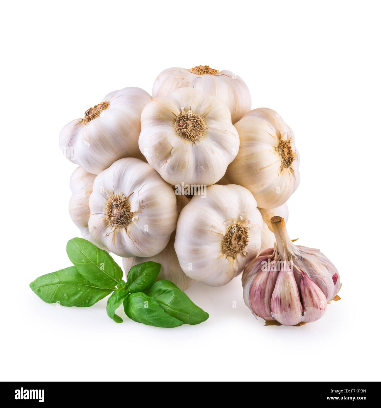 Basil plant root hi-res stock photography and images - Alamy