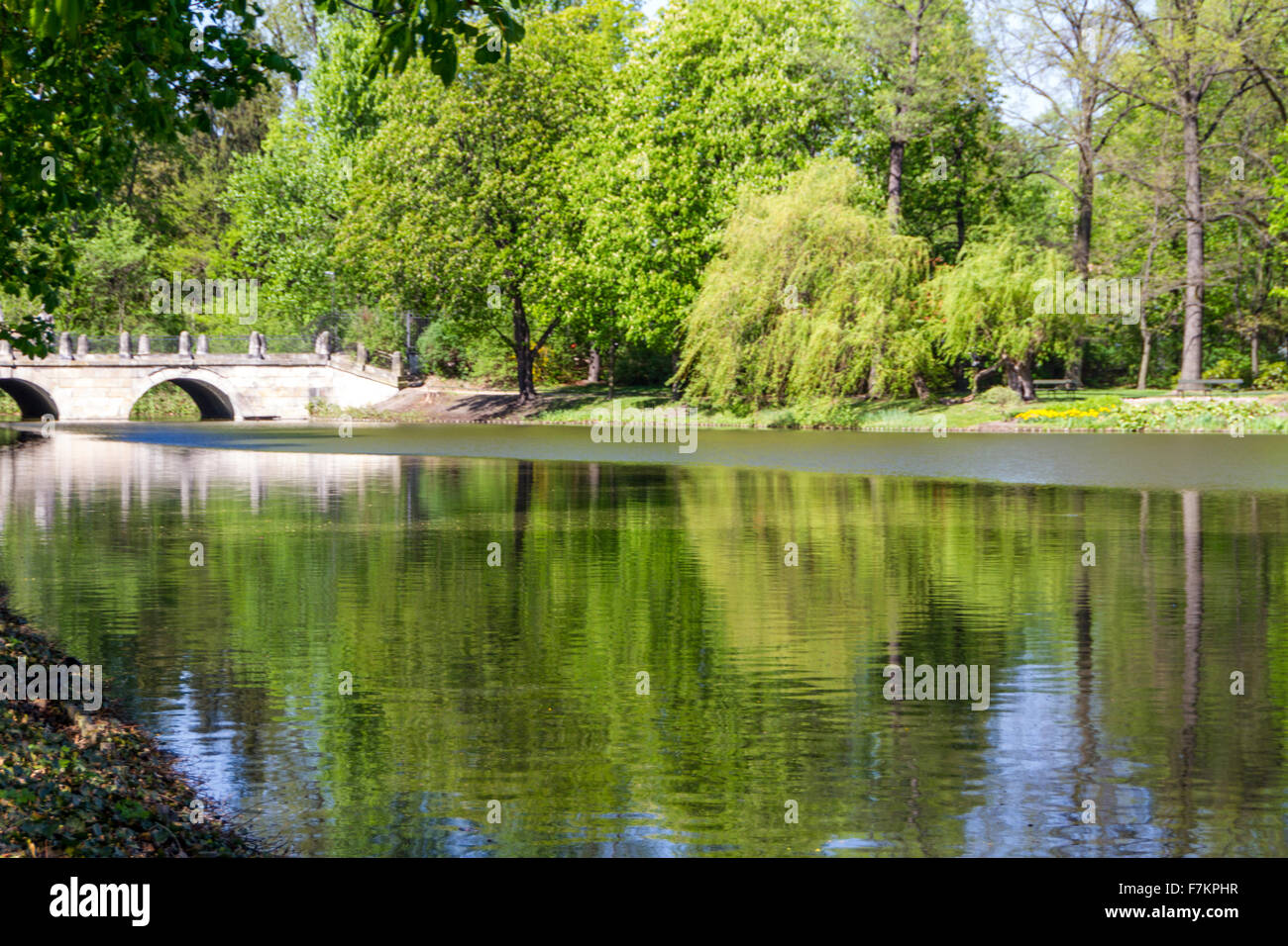 summer park, trees Stock Photo - Alamy