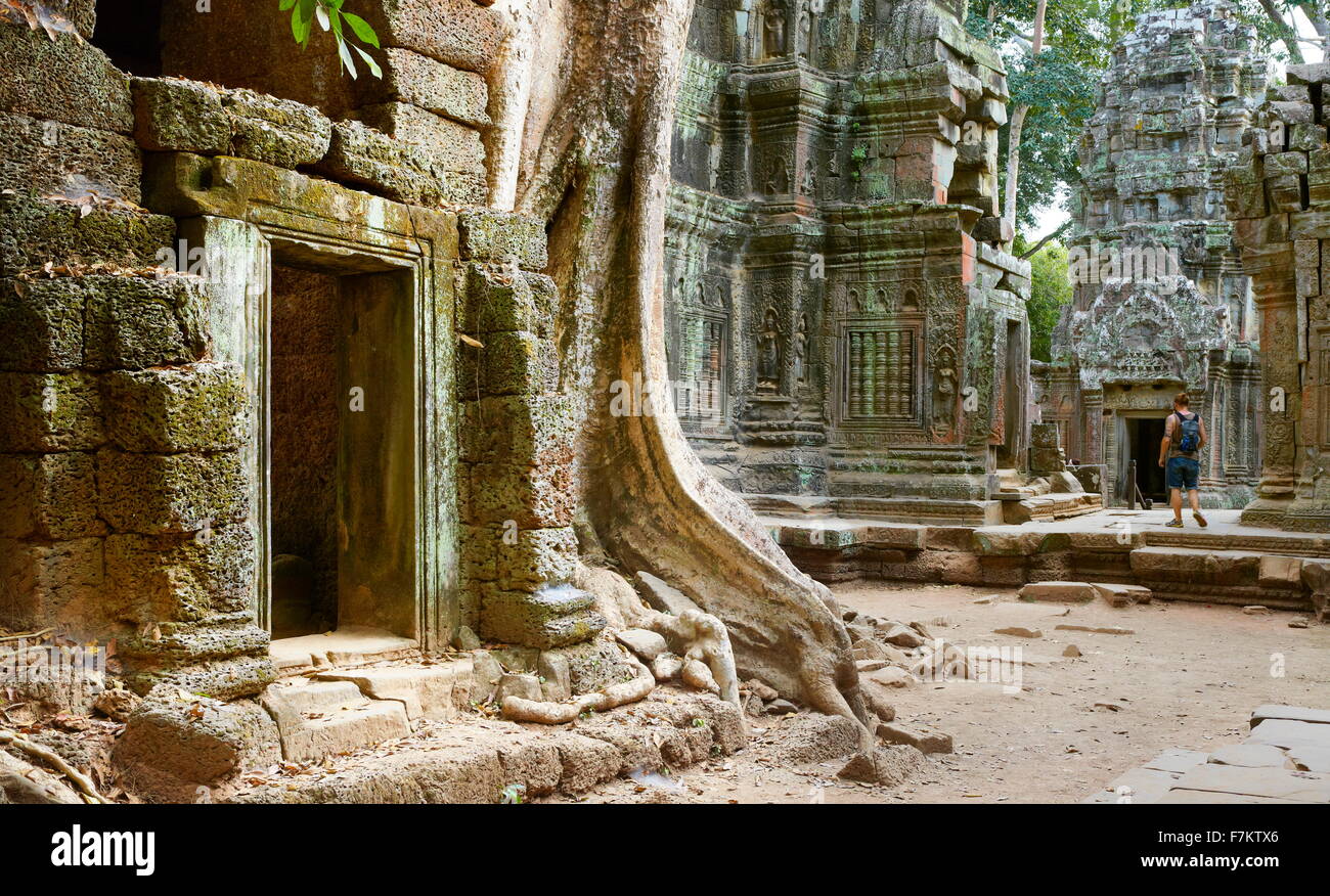 Ta Prohm Temple, Angkor, Cambodia, Asia Stock Photo - Alamy