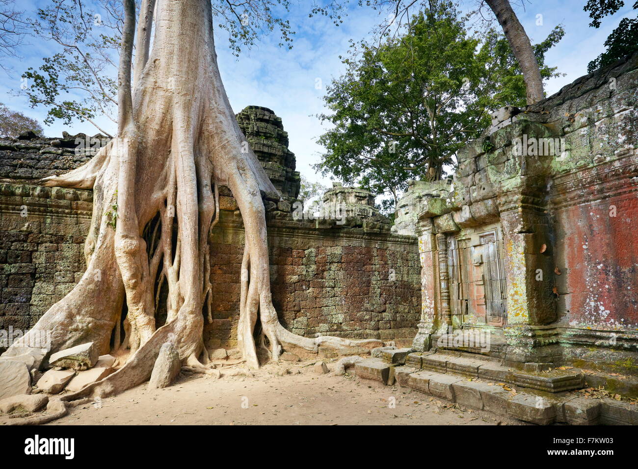 Ta prohm hi-res stock photography and images - Alamy
